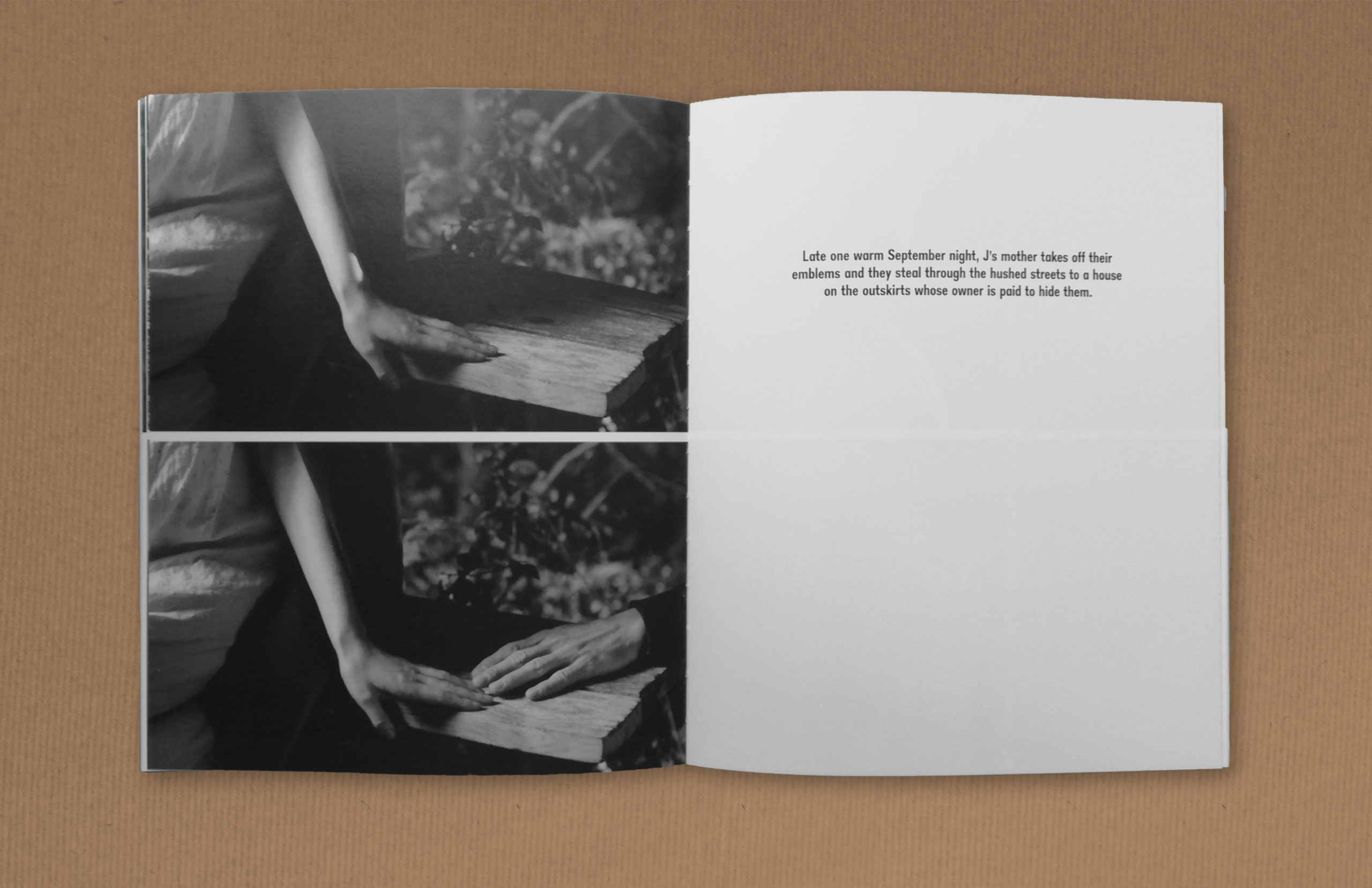 The Everyday Press — The Donkey Field